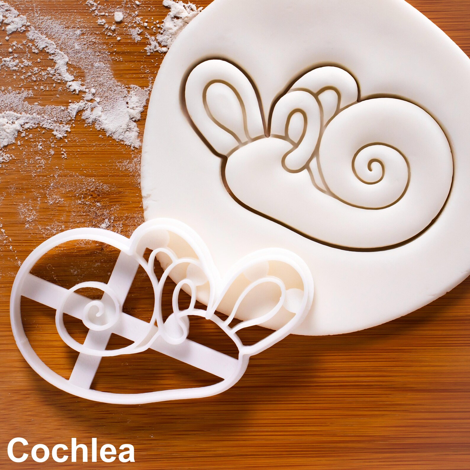 Anatomical Human Ear Cookie Cutter – Medical Student, ENT Doctor ...