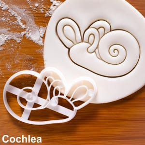 Anatomical Human Ear Cookie Cutter – Medical Student, ENT Doctor ...