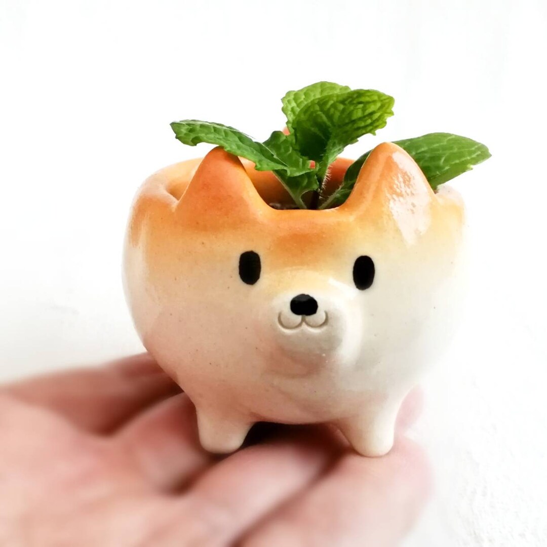 Very Small Flower Pot of Orange Shiba Inu With Glaze Poterry - Etsy