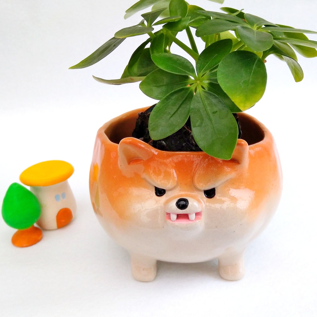 Angry Face Shiba Inu Flower Pot Funny Ceramic Dog Lovers Gift Japanese ...