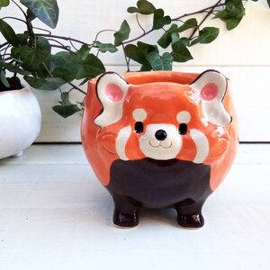 Red Panda Mug 300ml Funny Ceramic Animals Lovers Gift Japanese Handmade ...