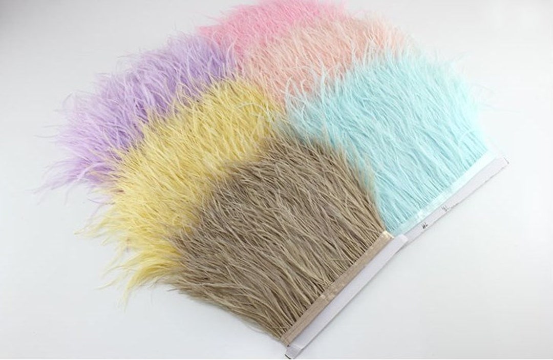 Ostrich Feather Ribbon Trim, Dense Sewing Trim for Crafts - 1 Meter ...
