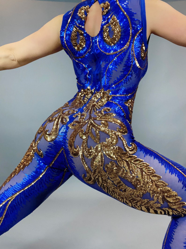 Sheer Catsuit Sequins Jumpsuit Circus Costume Dance Wear - Etsy