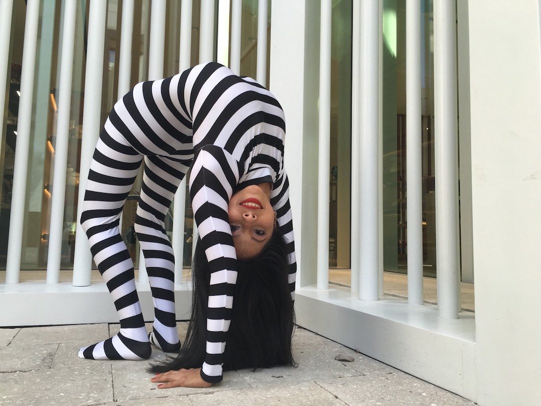 Flying Circus Aerialists Gift, Bodysuit for Woman or Man, Beautiful ...