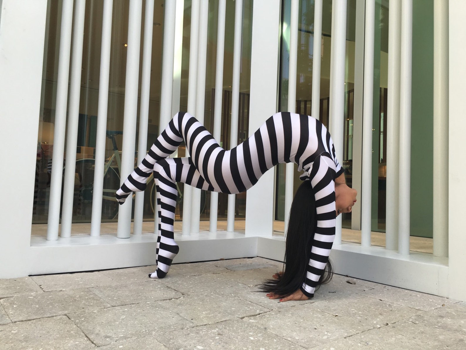 Flying Circus Aerialists Gift Bodysuit for Woman or Man | Etsy