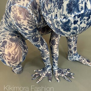 Power Mesh Jumpsuit, Circus Costume, Zentaisuit, Dance Wear ...