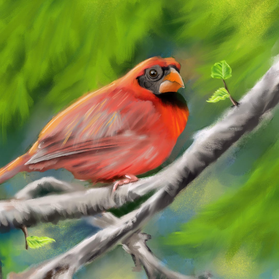 Cardinal Bird Pastel Handpainted Original Clipart Cards Wall Art ...