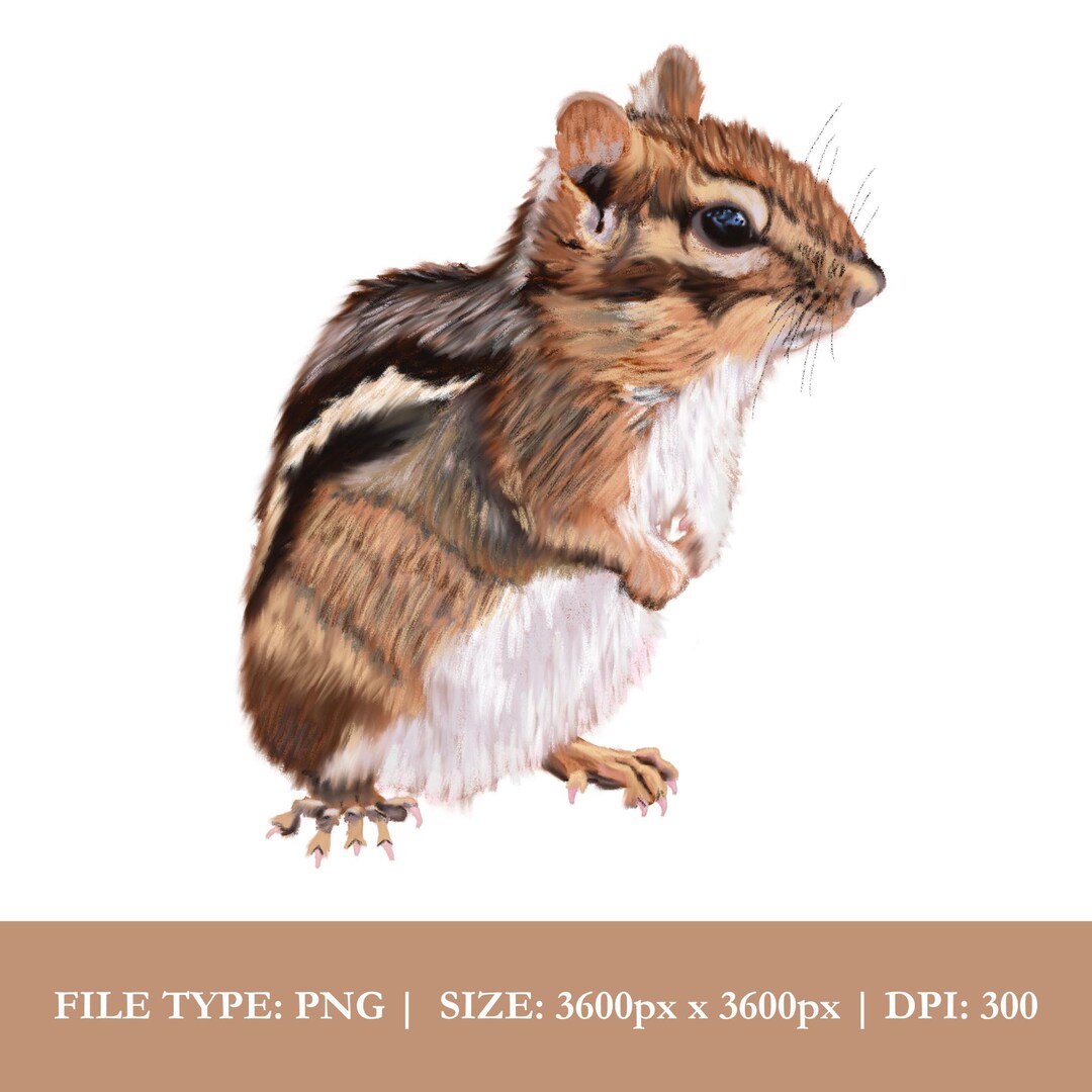 Chipmunk Woodland Animal Pastel Handpainted Original Clipart Cards Wall ...