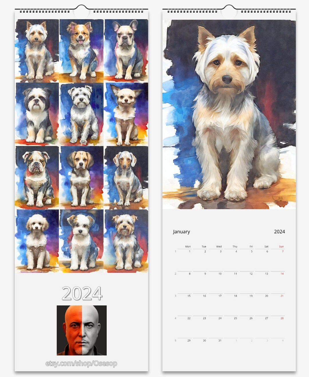 Wall Calendars 2024 Friends Collection Slim Vertical 14.8 X - Etsy