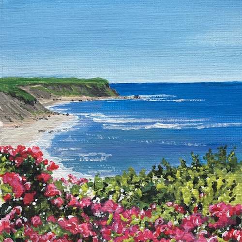Block Island Cliff View - Etsy