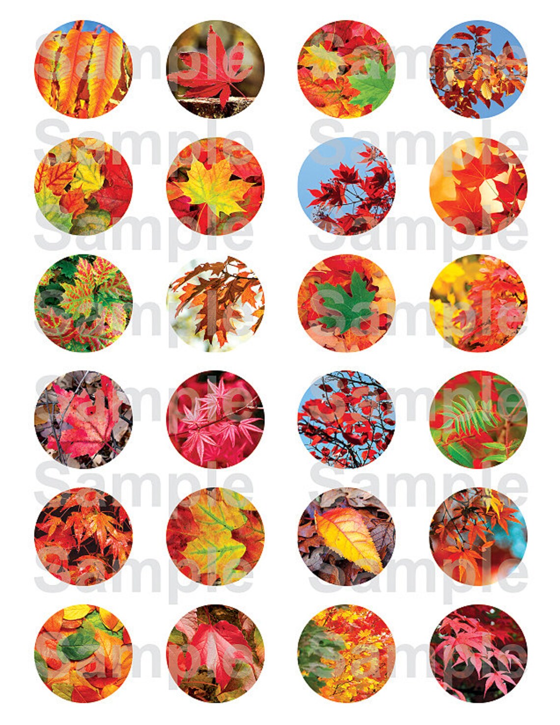 Autumn Leaves 1 Inch Round Digital Collage Sheet Fall 1 - Etsy