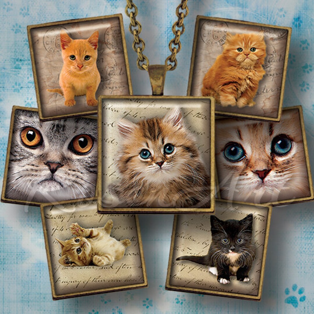 Kittens & Cats 1" Square Images for Pendants 1x1 Inch Digital Collage ...
