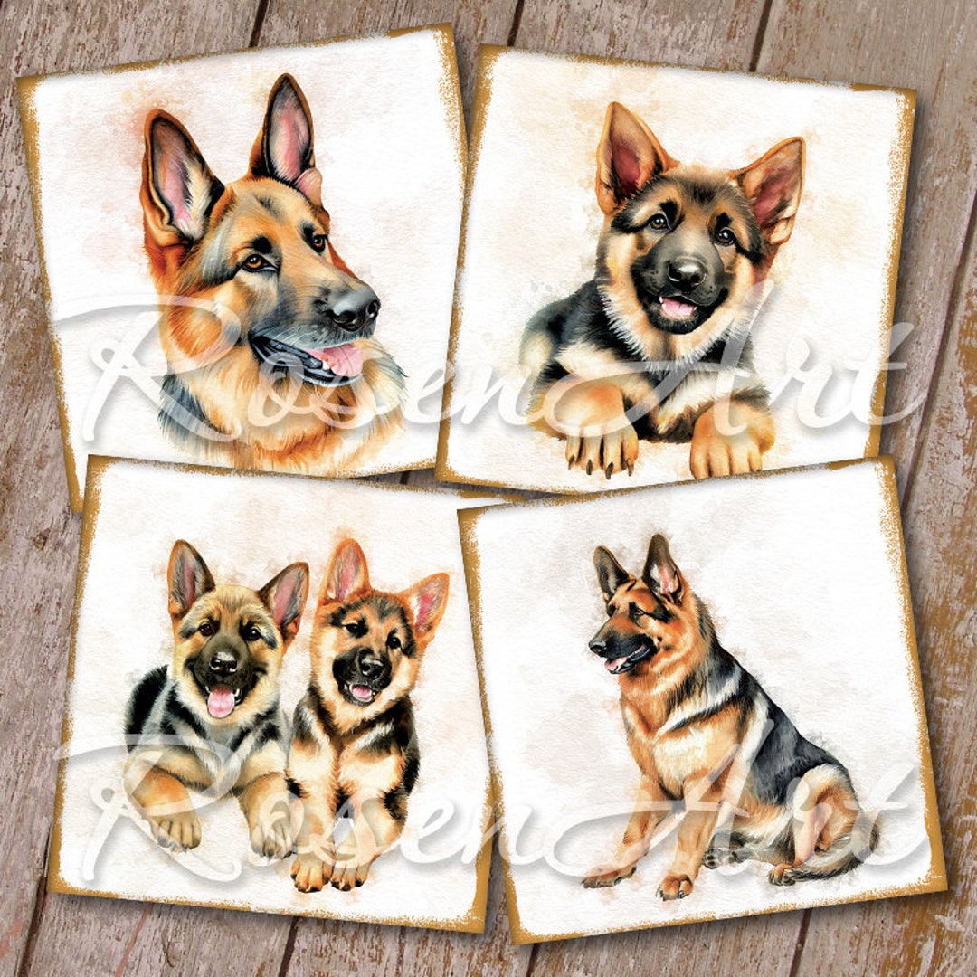 Watercolor German Shepherd, 8 Digital Images for Coasters, 3.8x3.8 Inch ...