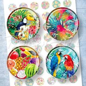 Tropical Flowers, Birds & Fruits 1" Bottle Cap Images 1 Inch Circles ...