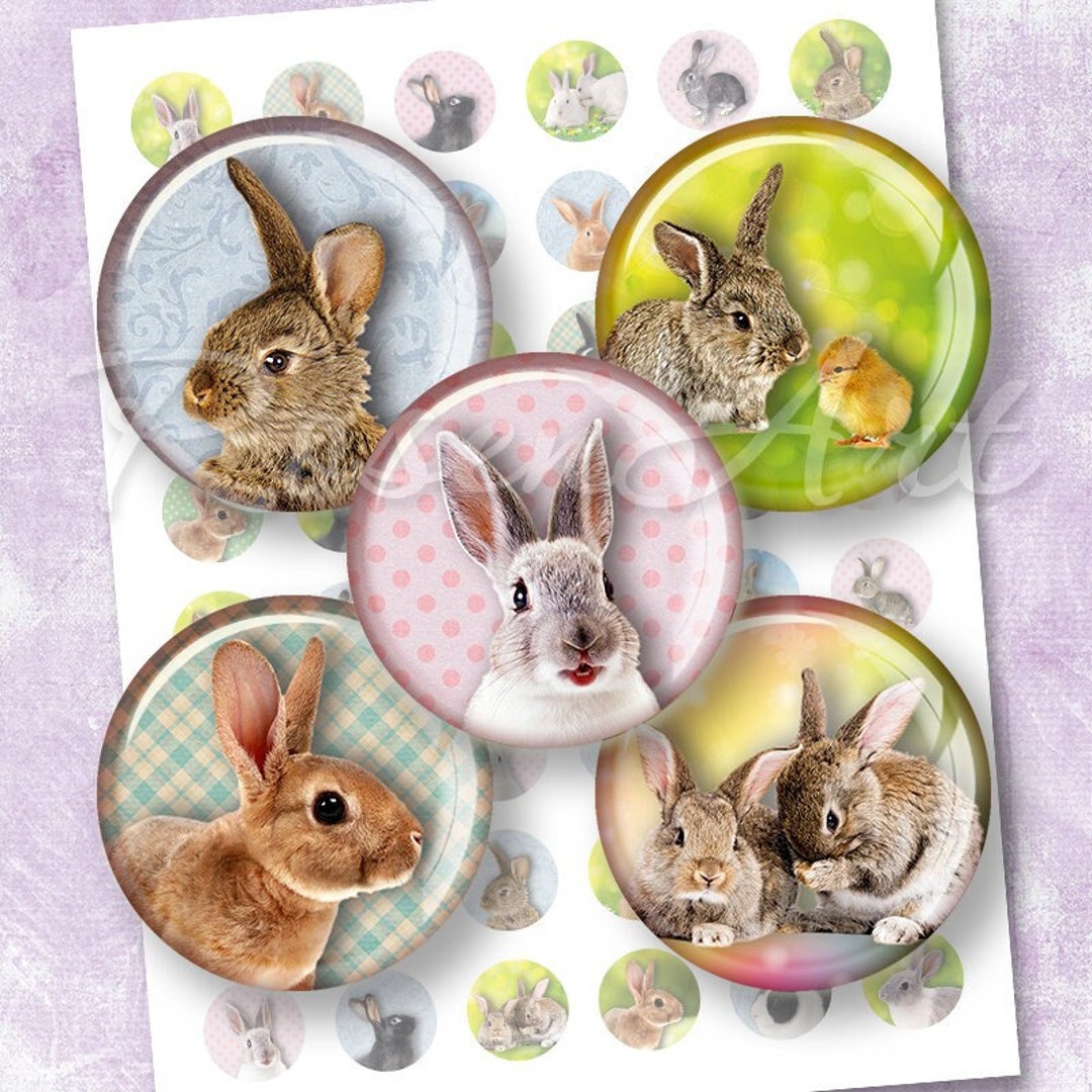 Bunnies & Rabbits 1 Bottle Cap Images 1 Inch Circles - Etsy