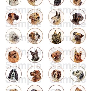 Vintage Dogs 1 Inch Round Digital Collage Sheet 1" Bottle Cap Images ...