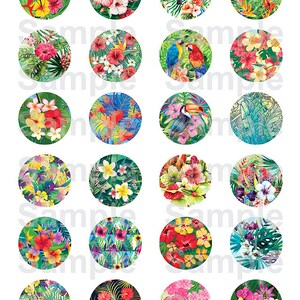 Tropical Flowers, Birds & Fruits 1" Bottle Cap Images 1 Inch Circles ...