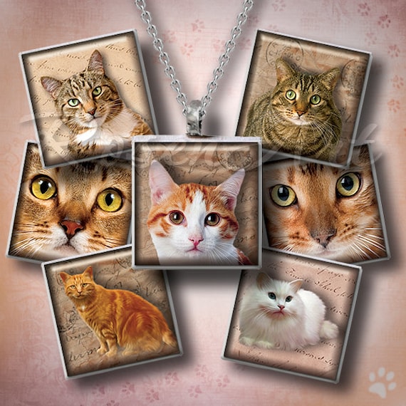 Cats & Kittens 1 Square Images for Pendants 1x1 Inch | Etsy