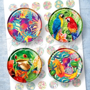 Tropical Flowers, Birds & Fruits 1" Bottle Cap Images 1 Inch Circles ...