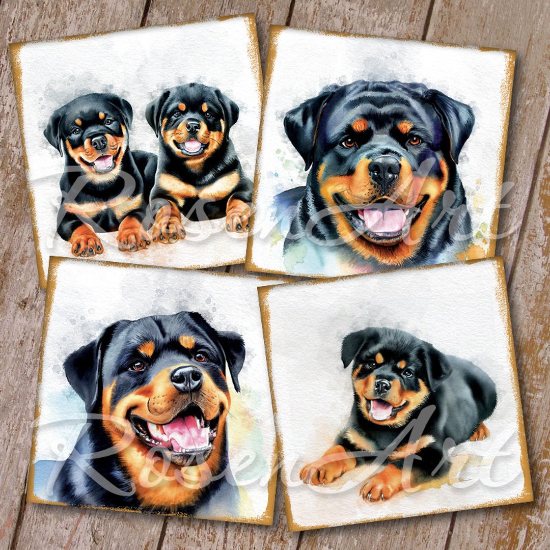 Watercolor Rottweiler Digital Images for Coasters, 3.8x3.8 Inch Set of ...