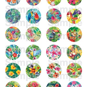 Tropical Flowers, Birds & Fruits 1" Bottle Cap Images 1 Inch Circles ...