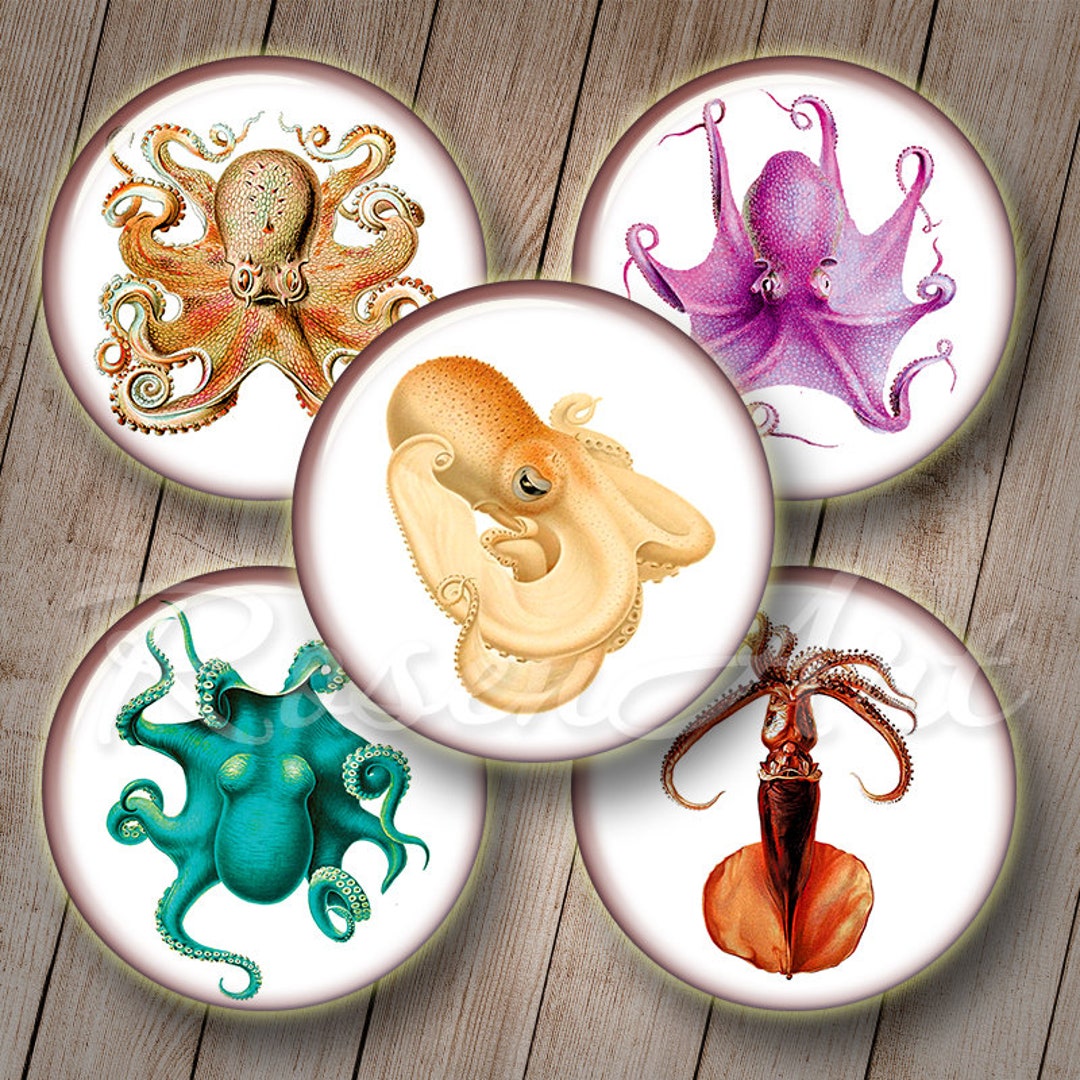 Octopus Round Digital Collage Sheet Nautical Bottle Cap Images ...