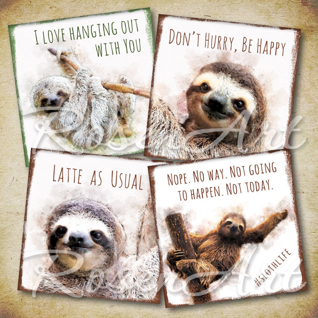 Watercolor Sloth Digital Images for Coasters, 3.8x3.8 Inch Set of 8 ...