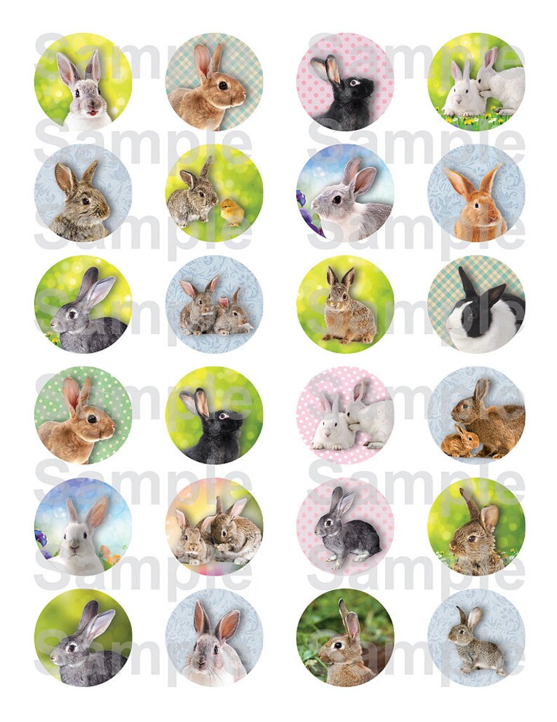 Bunnies & Rabbits 1" Bottle Cap Images, 1 Inch Circles Digital Collage ...
