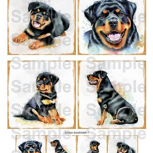 Watercolor Rottweiler Digital Images for Coasters, 3.8x3.8 Inch Set of ...