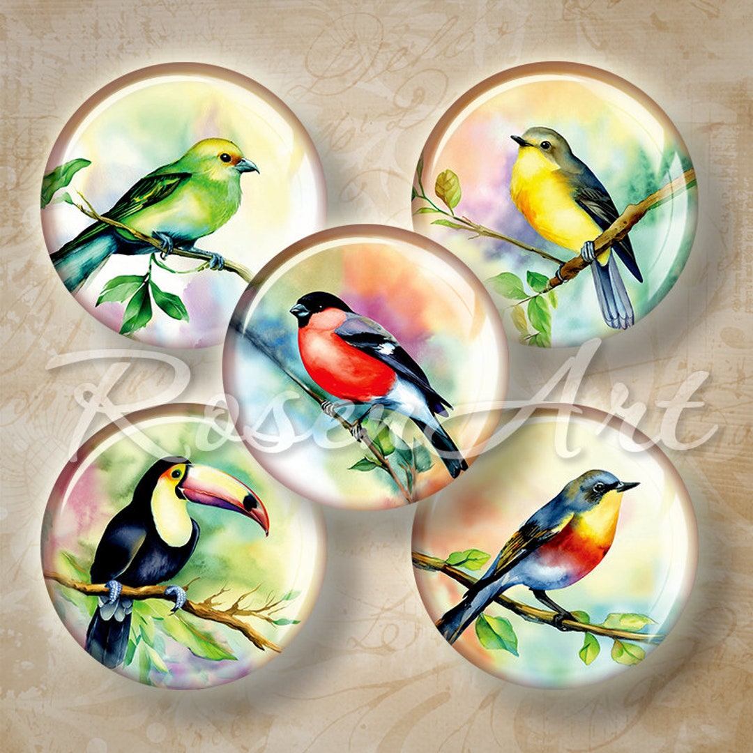 Birds Digital Collage Sheet 20mm 18mm, 16mm 14mm, 12mm Download ...