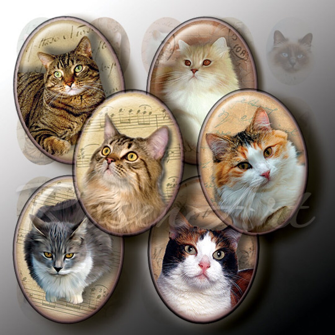 Cats & Kittens Oval Digital Collage Sheet Images for Pendants Cameo ...