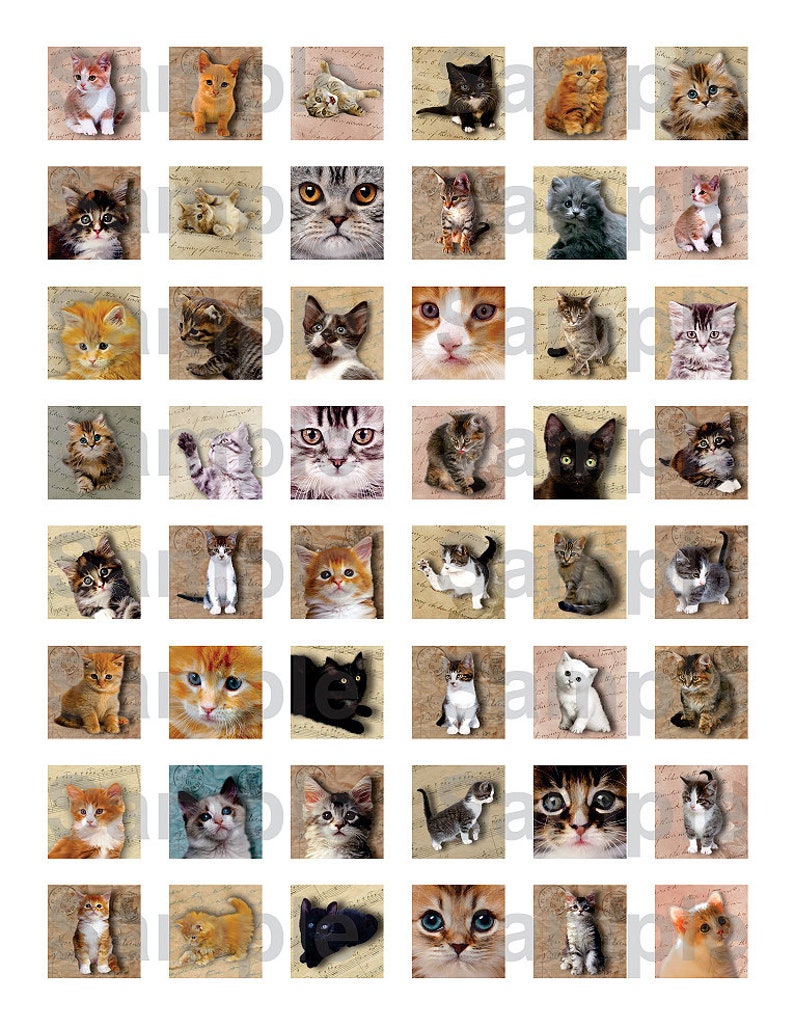 Kittens & Cats 1" Square Images for Pendants 1x1 Inch Digital Collage ...