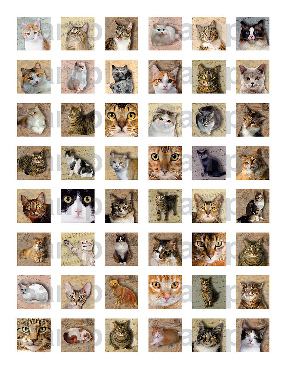 Cats & Kittens 1 Square Images for Pendants 1x1 Inch - Etsy