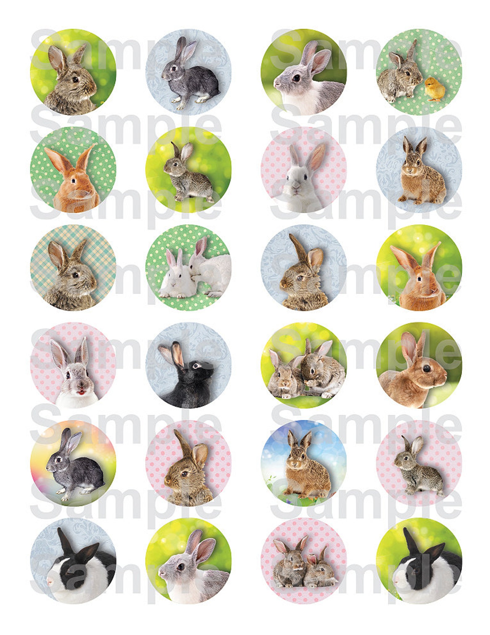 Bunnies & Rabbits 1" Bottle Cap Images, 1 Inch Circles Digital Collage ...