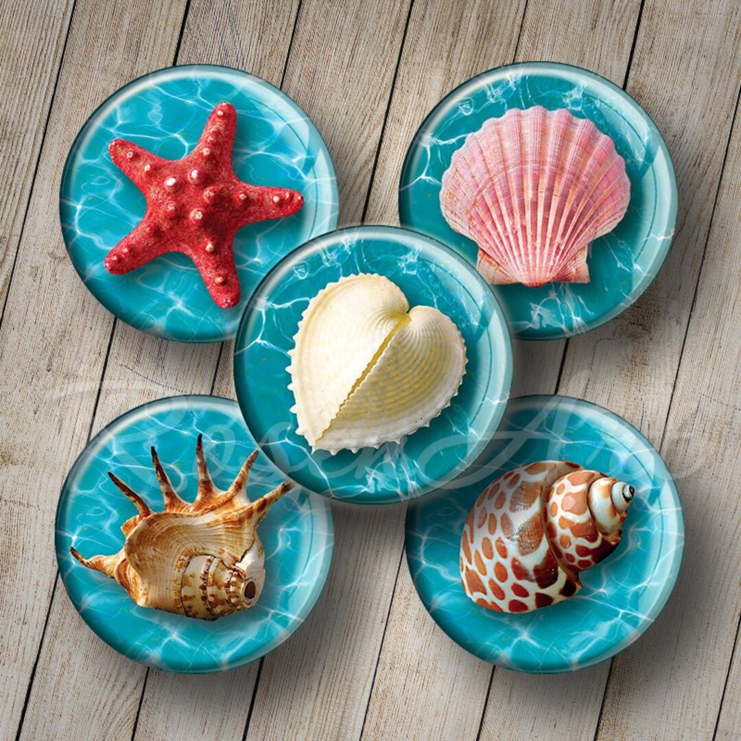 Sea Shells 1 Bottle Cap Images for Pendants 1 Inch Round - Etsy
