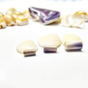 WampanoagShells - Etsy