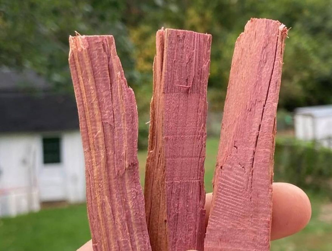 Eastern Red Cedar Sticks Bundle /w Satchel - Etsy