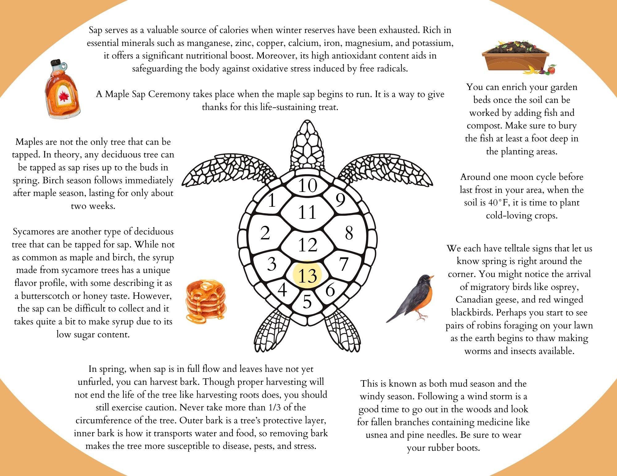 SECOND EDITION Full Circle: 13 Moons of Northeastern Turtle Island ...