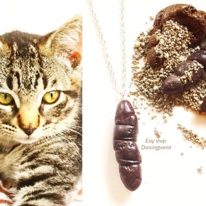 Cat Poop Necklace,kitty Poop Necklace,realistic Poop Jewelry,gag Gift ...
