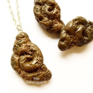Dog Poop Necklace,dog Poop Jewelry,dog Necklace,prank Gift,shocking ...