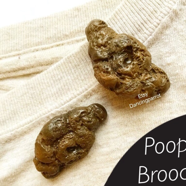 Fake Realistic Poop - Etsy