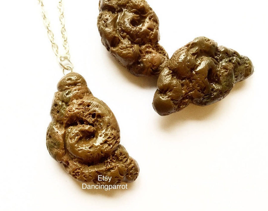 Dog Poop Necklace,dog Poop Jewelry,dog Necklace,prank Gift,shocking ...