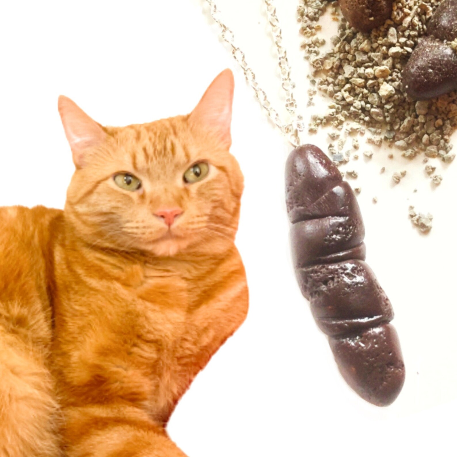 Cat Poop Necklacekitty Poop Necklacerealistic Poop - Etsy