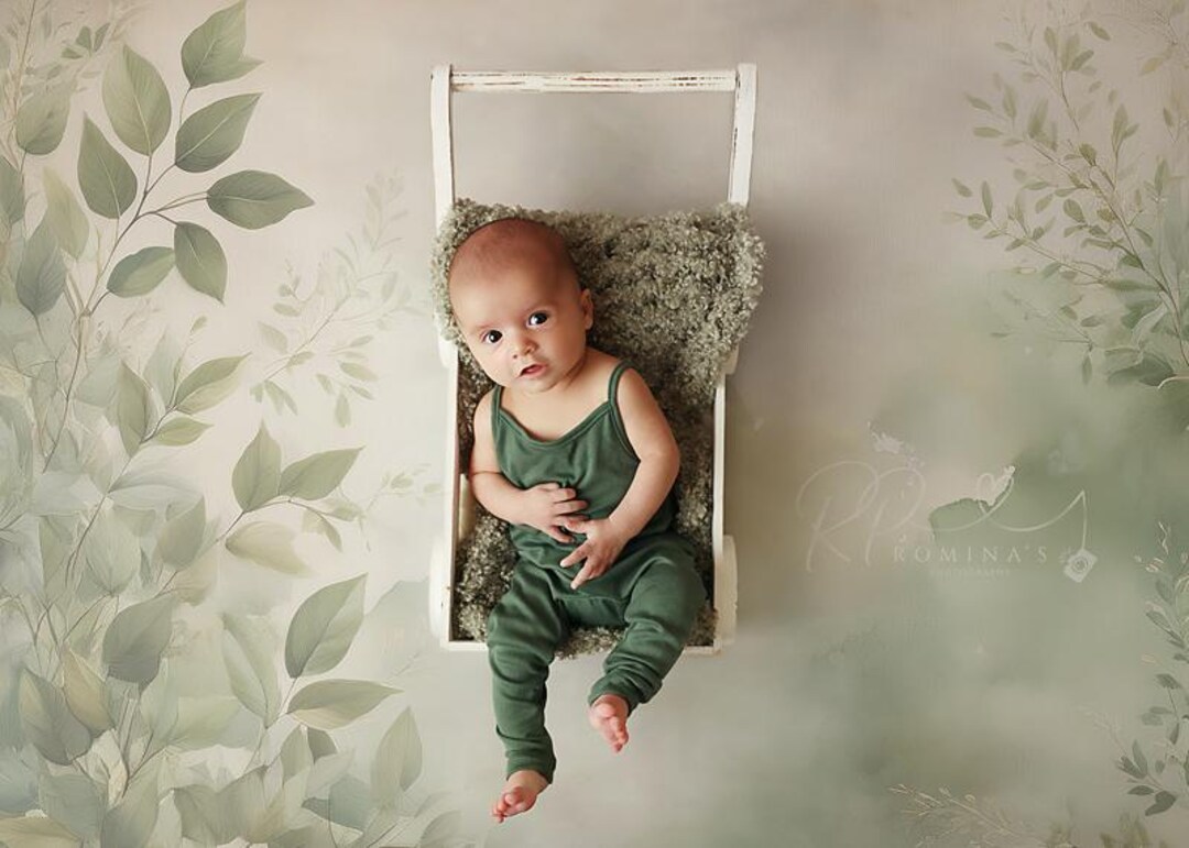 Digital Backdrop Overlay Olive & Greens Collection 2 Backdrops Included ...