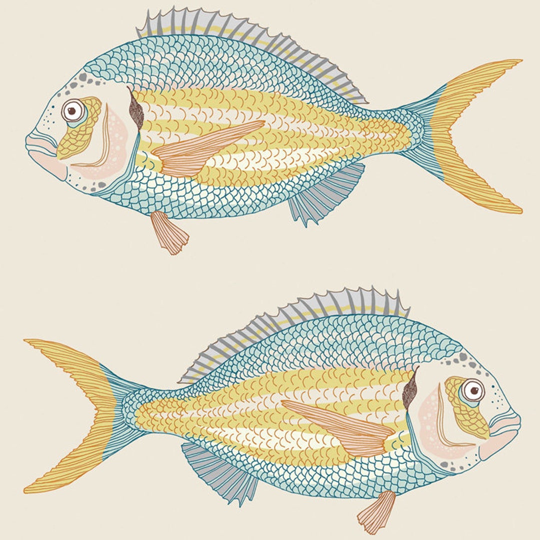 Limited Edition Print Illustration Gilt Head Fish - Etsy