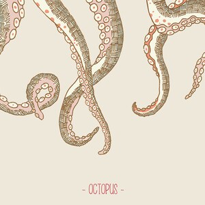 Limited Edition Print Illustration Drawing (octopus) - Etsy