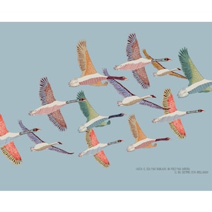 Illustration Limited Edition Inkjet Print ,BIRDS, 30x40cm - Etsy