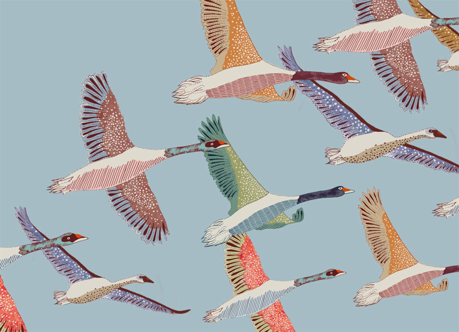 Illustration Limited Edition Inkjet Print BIRDS 30x40cm - Etsy