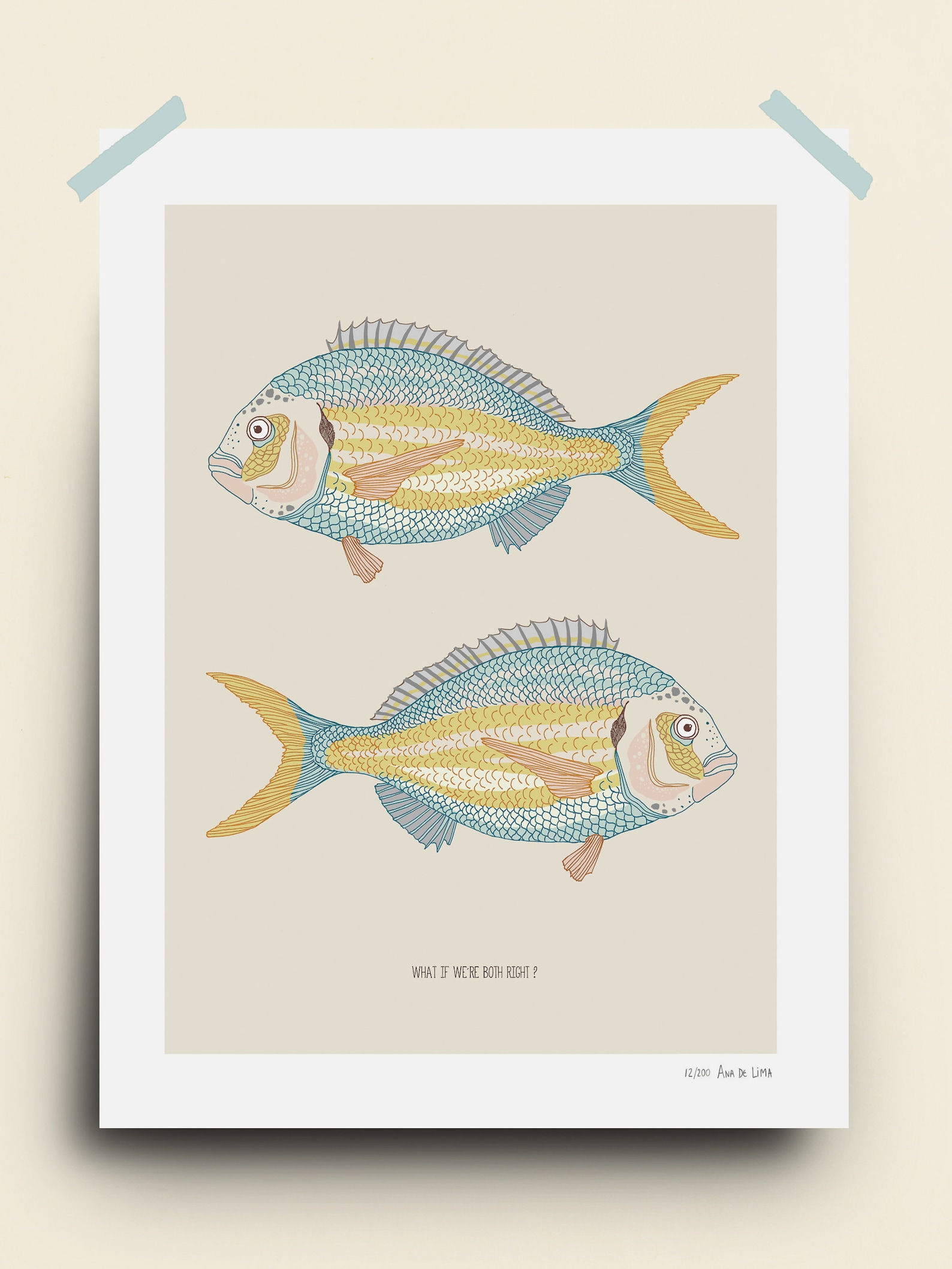 Limited Edition Print Illustration Gilt Head Fish - Etsy