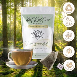 GUT RESTORE Tea Bags - Etsy